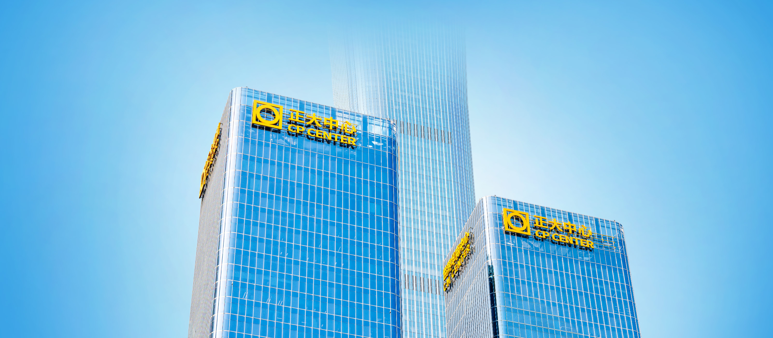 Theresa Tse - Chairwoman of the Board/Executive Director-Sino Biopharm